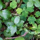 3DC.io | Build Your Story