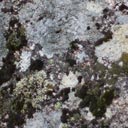 3DC.io | Build Your Story